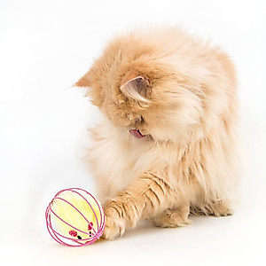 6pcs Cat Toy Caged Rats Rolling Wire Cage Plush Mouse Ball Interactive Ball Kitten Funny Catch Toys Pet Supplies Cat Accessories Cat Balls Playful Toy Caged Rats