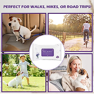 Treela 10 Packs of 800 Dog Wipes Pet Wipes Cat Grooming Supplies for Paws, Butt, Ear, Skin, Eye, Body Cleaning Bath Stain Odor Remover, Home or Travel Use(Lavender)