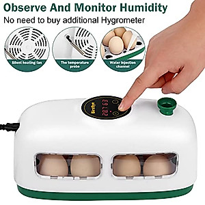Egg Incubator for Hatching Chicks, 8 Eggs Poultry Hatcher, Cute Little Train Shape Egg Incubator, with Humidity Temperature Control, for Chickens Ducks Goose Quail Birds