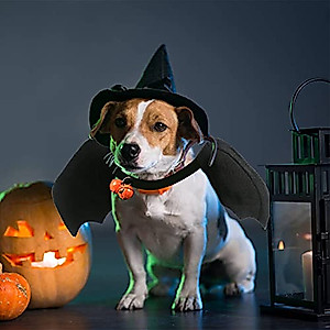 DIYASY Cat Halloween Bat Wing Costume,Halloween Small Pets Black Bat Costume Decoration for Puppy Dog and Cat with Bells