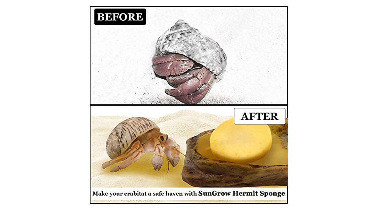 Quality Hermit Crab Sponges - 3 Pack for Optimal Humidity