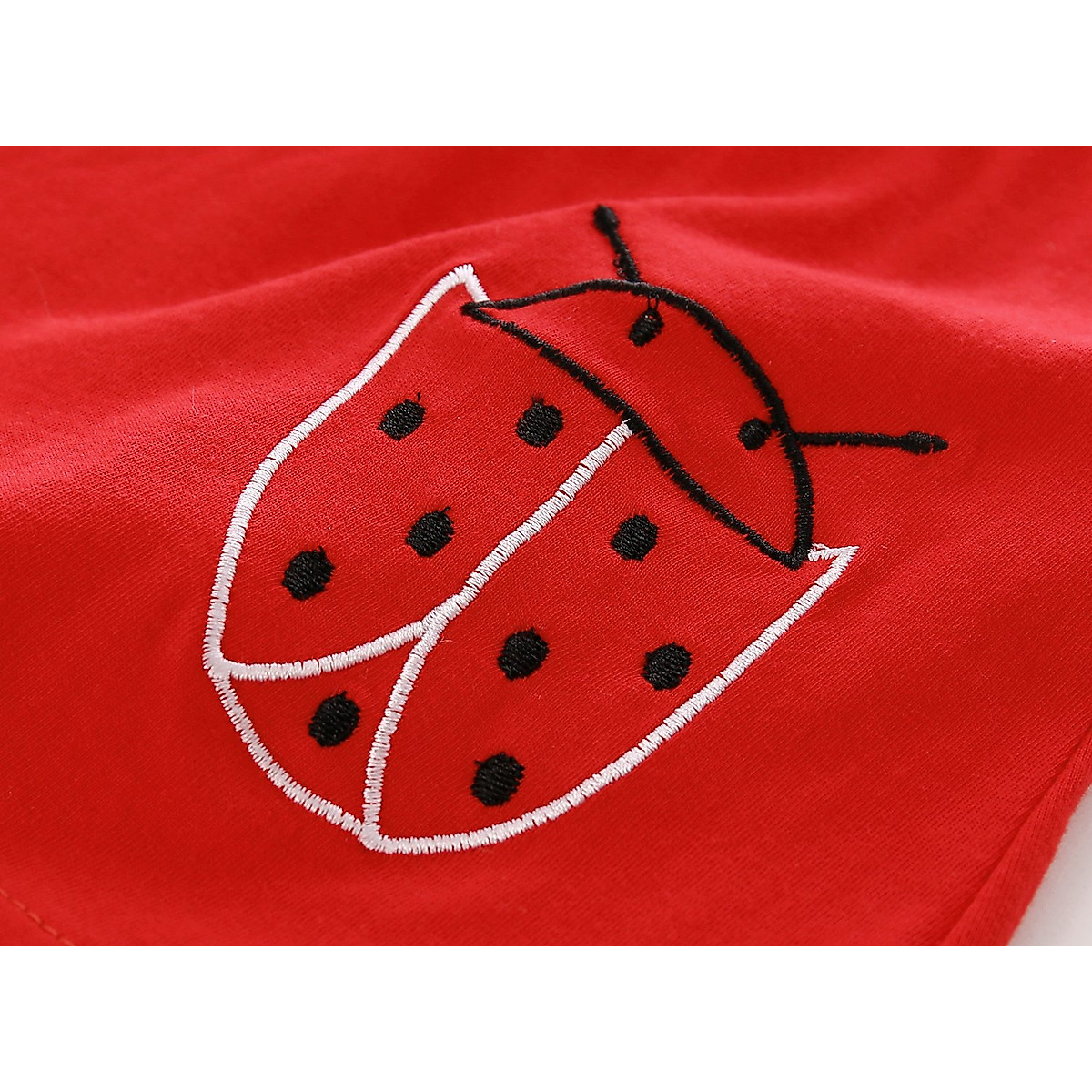 Eghunooy Baby Girls Clothes Set 2 Piece Long Sleeve Ladybug Pattern Infant Outfits (18-24 Months) Red