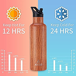Arslo Insulated Stainless Steel Water Bottles, Double Wall Water Bottle With Straw, Vacuum Insulated Bottle Keep Cold 24 Hours, Wood Grain