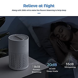 Air Purifiers Plus One More HEPA Filter for A11ergies, Pollen, Smoke, Dusts, Pets Dander, Odor, Hair, Ozone Free, 20db Quiet cleaner for Bedroom, Room, Kitchen and Living Room, SGS Certificaion