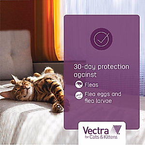Vectra Tan for Cats and Kittens 2-9 Pounds 6 Doses
