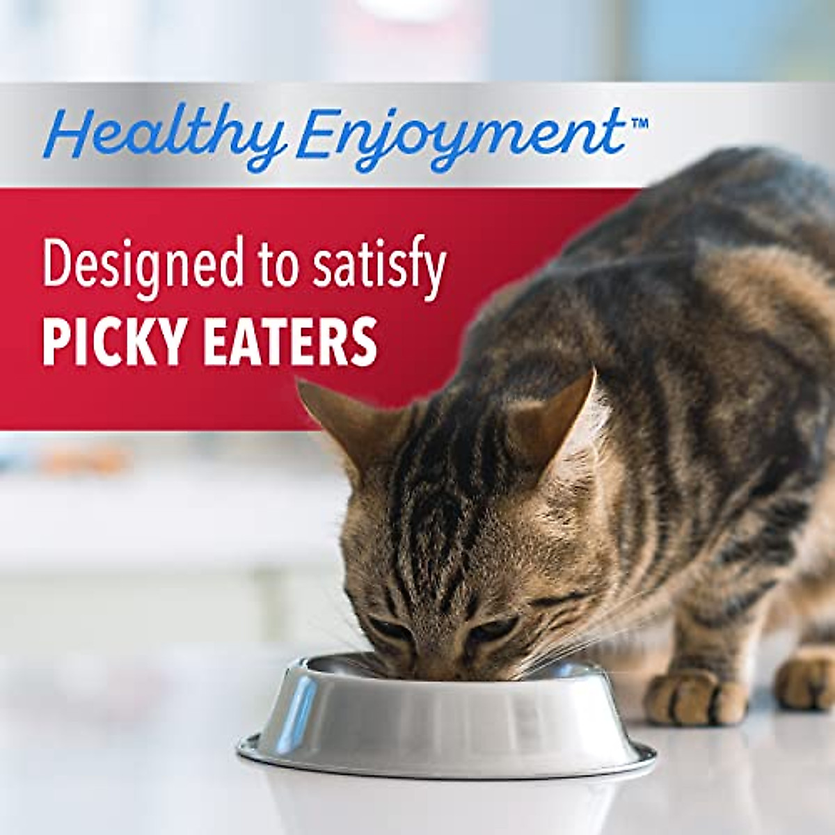 Iams Healthy Enjoyment Dry Cat Food Chicken & Beef Recipe, 3 lb. Bag