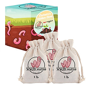 WWJD Worms Red Wigglers Composting Worms - 3lb Bulk Red Worms for Composting Bin, Red Wiggler Worms for Plants or Gardening, Red Compost Worms for Soil Fertility & Worm Farm, Easy to Manage