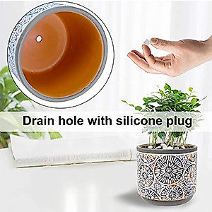 Vivimee 2 Pack Ceramic Plant Pots, 5 Inch Flower Pot Set, Planter Set with Drainage Hole for Indoor Plants, Cactus, Succulent, Snake Plants, Bamboo, Clay Pottery Garden Pots for Outdoor Plants(Gray)