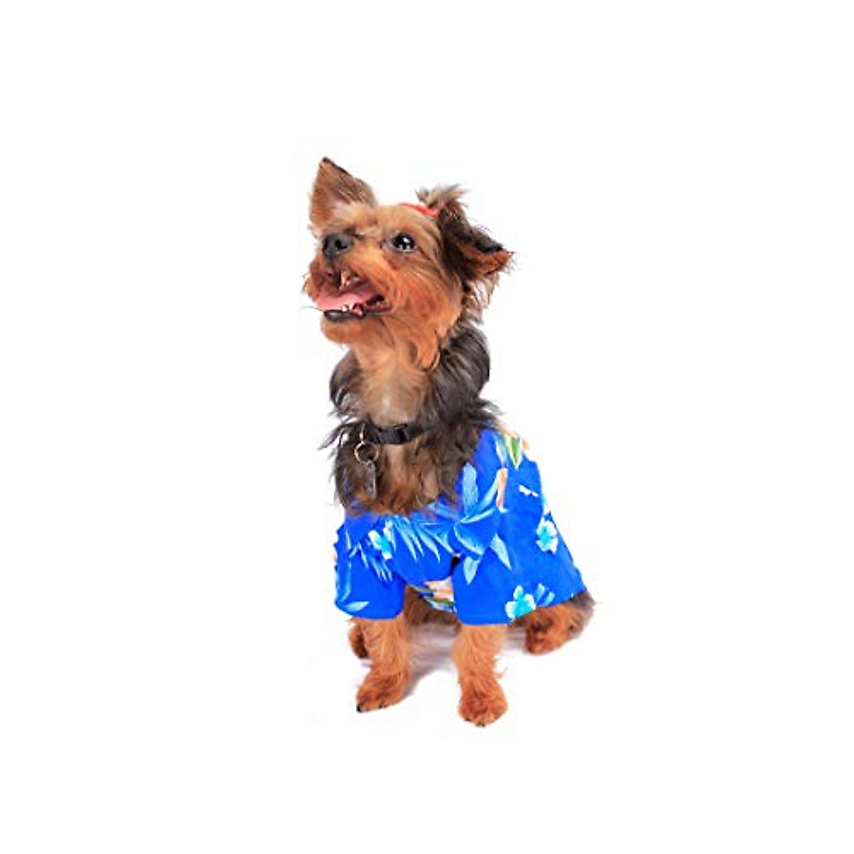 Hawaiian Matching Pattern Dog Aloha Shirt in Hibiscus Blue Size Small