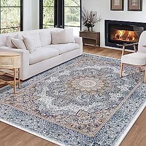 Rugs for Living Room 8x10 Area Rugs: Large Rug Machine Washable with Non-Slip Backing Non-Shedding Stain Resistant, Boho Carpet for Bedroom Dining Room Nursery Home Office Indoor Decor (Blue/Brown)