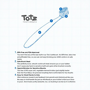 RADIUS - Totz Toothbrush, Specially Designed for Small Teeth and Gums, For 18 Months and Older (6 per case)