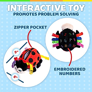 Buckle Toys - Becky Ladybug Stuffed Animal - Montessori Learning Activity - Develop Motor Skills and Problem Solving - Sensory Toddler Travel Toy