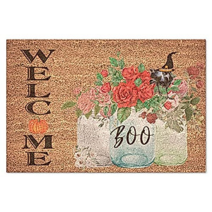 Coir Door Mat Natural Fade - Vinyl Backed Welcome Halloween Fall Summer Door Mat 16x24in Fall Floral Flowers Jars Sunflowers Pumpkins Houses Doormat Home Entryway Farmhouse Decor