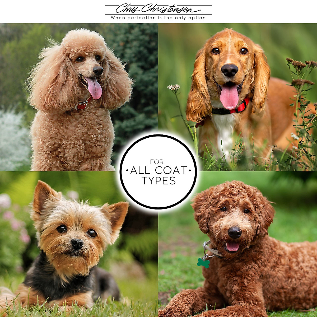 Chris Christensen 5in Face and Feet Fine/Coarse Butter Comb, Groom Like a Professional, Rounded Corners Prevent Friction and Breakage, Solid Brass Spin with Steel Teeth, Chrome Finish