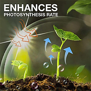 Plant Growth Enhancer Supplement, Rooting Hormone Supplement, 2023 New Plant Growth Enhancer Supplement for Plant Promotes Rooting, Grow New Plants from Cutting (3PCS)