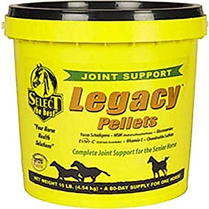 RICHDEL Legacy Pellets 075332