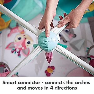 Gymini Deluxe Activity Gym Play Mat, Tiny Princess Tales