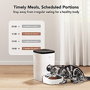 PETLIBRO Automatic Cat Feeders, Automatic Cat Food Dispenser with Customize Feeding Schedule, Timed Cat Feeder with Interactive Voice Recorder, Automatic Pet Feeder for Cat Dog 1-4 Meals Dry Food 4L
