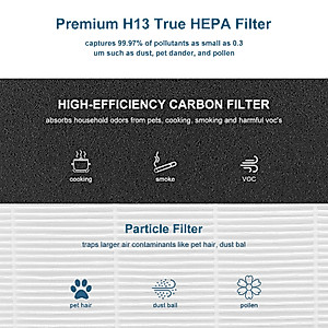 C545 Replacement Filter Compatible with winix Air puri-fier C545, H13 True HEPA Replacement Filter, Part Number 1712-0096-00 and 2522-0058-00, 2 True HEPA Filter