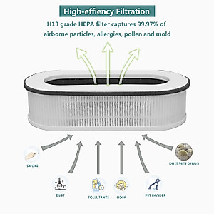 RP-AP068 True HEPA Replacement Filter, Compatible with RENPHO Air Purifier RP-AP068 RP-AP068W RP-AP068B RP-AP068-F2 Filter, 2Pack