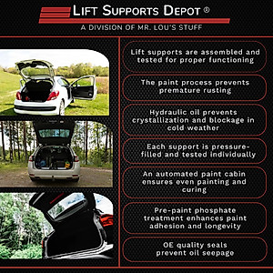 Lift Supports Depot Qty (2) Compatible with Nissan Rogue 2014 To 2020 Liftgate Lift Supports without Power Gate. (Does NOT Fit Select & Sport)