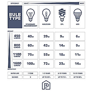 Prominence Home Lincoln Woods 1 Light Matte Black Industrial Pendant Light with Cage and Clear Glass