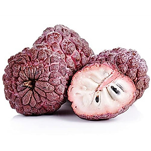QAUZUY GARDEN 10 Annona Squamosa Seeds, Custard Apple Seeds, Sugar-Apple, Sweetsops, Non-GMO Fruit Seeds, Prolific Perennial Tropical Exotic Fruit Tree for Home Garden