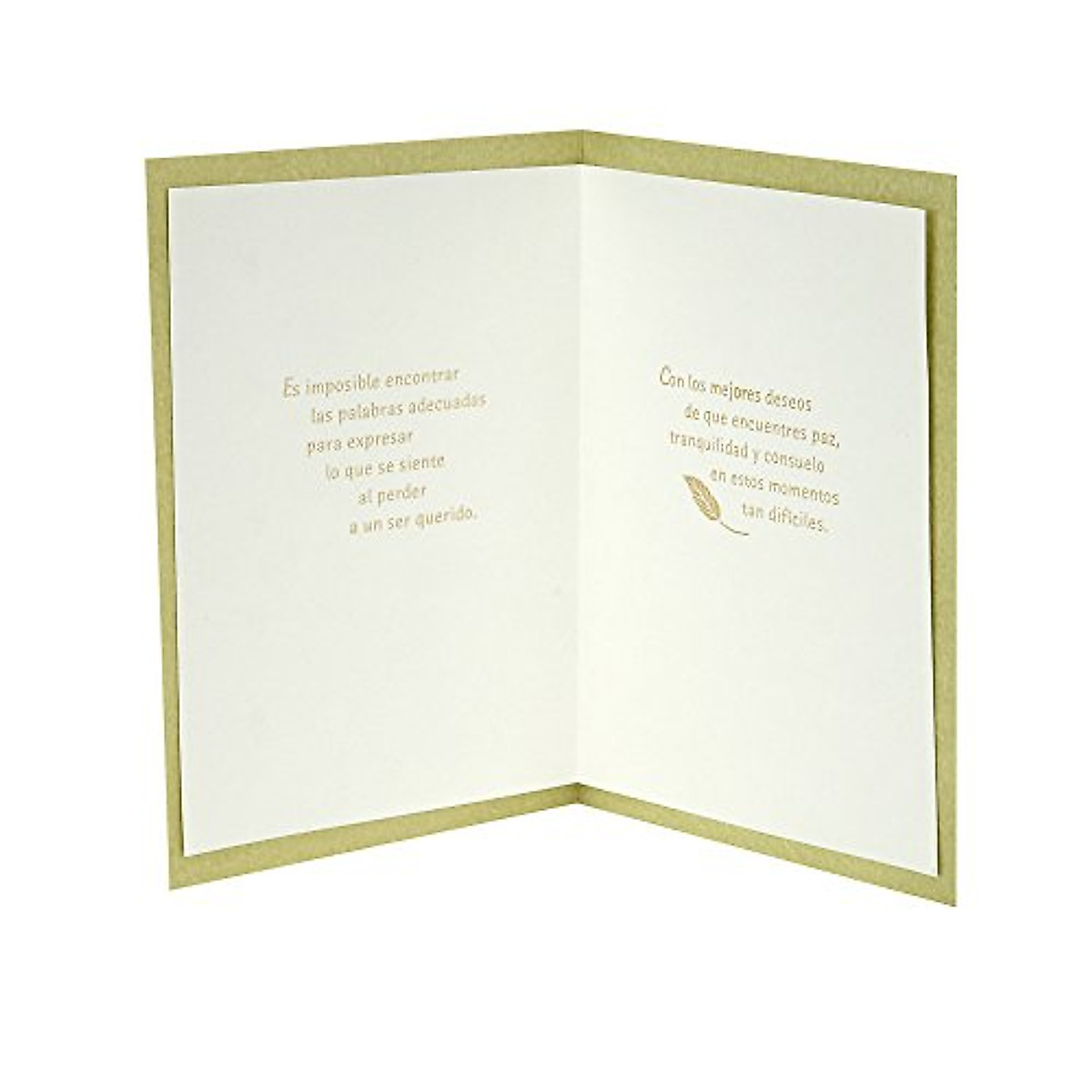 Hallmark Vida Spanish Sympathy Card (Foil Flowers) 0349RZM7021