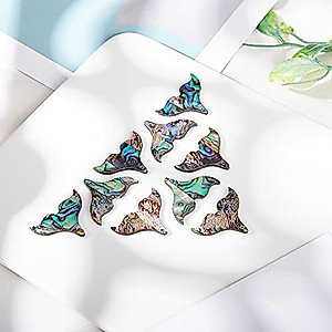 BENECREAT 16PCS Natural Abalone Shell Fishtail Abalone Shell Beads with Storage Containers for DIY Jewelry Making