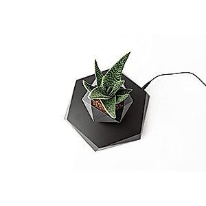 BandD Floating Plant Pot - Levitating Plant Pot for Succulents, air Bonsai & air Plants. Floating Planter for Home, Office & Desk Levitating Decor. Magnetic Floating Levitating Display. (Black)