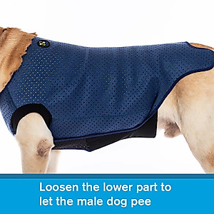 COODEO Dog Surgery Recovery Suit, Waterproof Recovery Suit for Dogs, Surgery Suit for Wounds Protect, Cone Alternative After Surgery, Dog Onesie for Surgery Female or Male (Blue, XS)