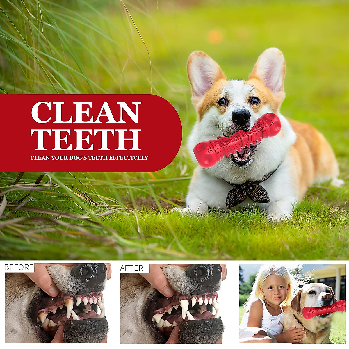 ZIKATON Dog Squeaky Toys for Aggressive Chewers, Durable Chew Toys for Large Medium Breed Dog, Tough Durable Dogs Toys with Natural Rubber