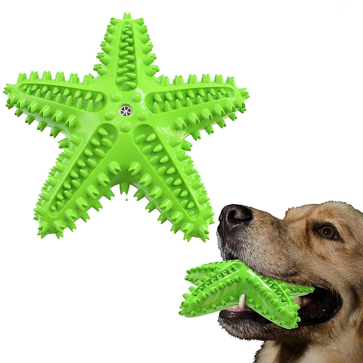 IDOLPET Dog Chew Toys Squeaky Dog Toys Dog Water Floating Toys Starfish Natural Tooth Brush Teeth Cleaning Toy for Small Medium Dog (Green)