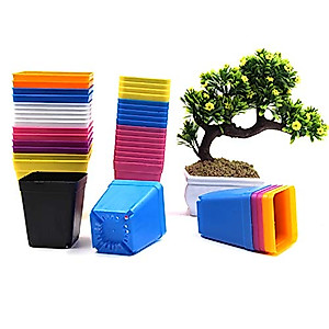 qiguch66 Small Plant Pots,10Pcs Bonsai Planter Nursery Flower Pot Garden Square Home Plastic Decor Supply - Red