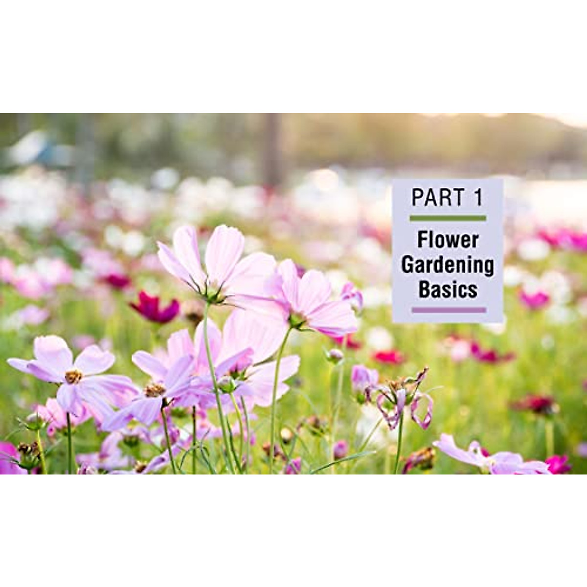 Flower Gardening for Beginners: A Guide to Growing and Maintaining a Cut-Flower Garden