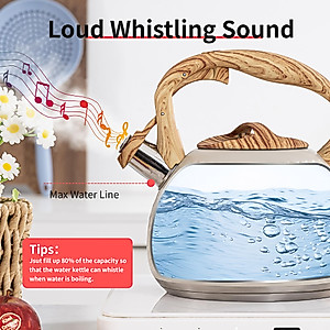 Zalnuuk Tea Kettle, Tea Pot with Cool Touch Ergonomic Handle, Tea Kettle Food Grade Stainless Steel, Tea Kettle Stovetop, Kettle Teapot, Whistling Tea Kettle, Small Tea Kettle, 3.2 Quart