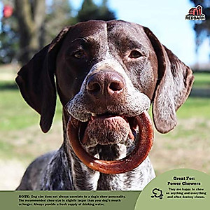 Redbarn Bully Rings 3-Count (Pack of 1)