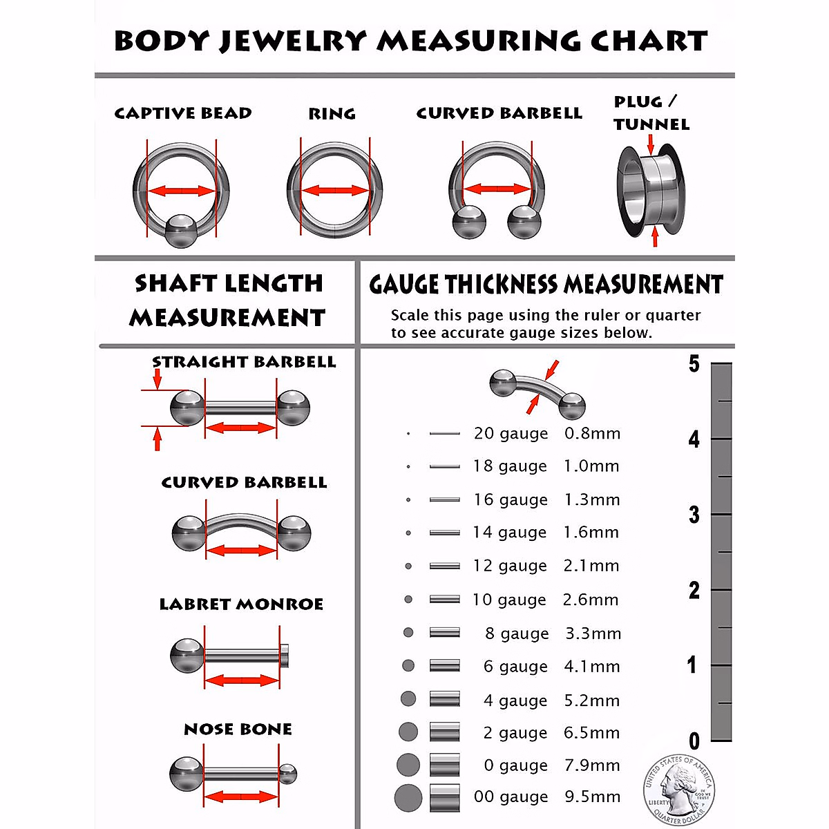 Amelia Fashion 16 Gauge Claw Set Opals on Internally Threaded 316L Surgical Steel Eyebrow Barbell (Choose Color) (Steel/Opal White)