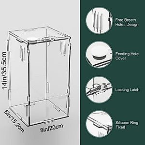 BETAZOOER Acrylic Mini Reptile Tank Habitat Transparent Terrariums with Locking Latch Suitable for Tarantula Isopod Roach Invertebrates (8''x6''x14'')