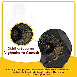 Vedic Vaani Natural Gandaki River Stone Vakratunda Ganesh Shaligram Statue (1 Pc)