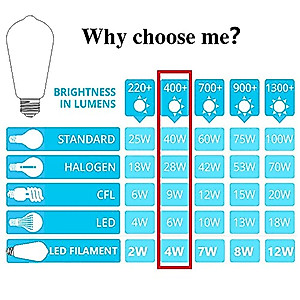 winsaLED Light Bulbs 40 Watt, 2700K Soft Warm Light Bulbs, ST19 Edison Bulbs Design, LED 4W with 450lm Output, E26 Medium Base, High CRI 90+, Not dimmable, Pack of 12