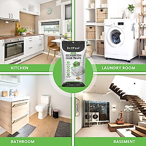 Silverfish Trap — 20 Pack | Sticky Indoor Glue Trap for Silverfish, Firebrat, and Other Bugs and Crawling Insects | Adhesive Silverfish Killer Paks, Monitor, and Detector with Natural Bait Attractant