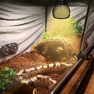Reptile Heat Lamp,UVA UVB Reptile Light Anti-Scald Heater Guard Turtle Basking Heater Lamp with Guard for Lizard,Snake, Parakeets Parrots Chameleon, Amphibian Bird Supplies(2 Bulbs 25W+50W)