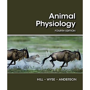 Animal Physiology