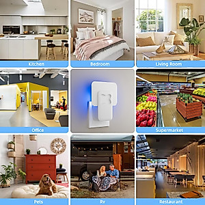 Fruit Fly Traps for Indoors, Plug-in Flying Insect Trap, Fly Catcher Indoor for Mosquito, Fruit Flies, Gnats, Moths, Gnat Killer Indoor, Gnat Traps, Bug Traps Fly Traps Indoor for Home