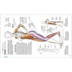 Science of Running: Analyze your Technique, Prevent Injury, Revolutionize your Training (DK Science of)