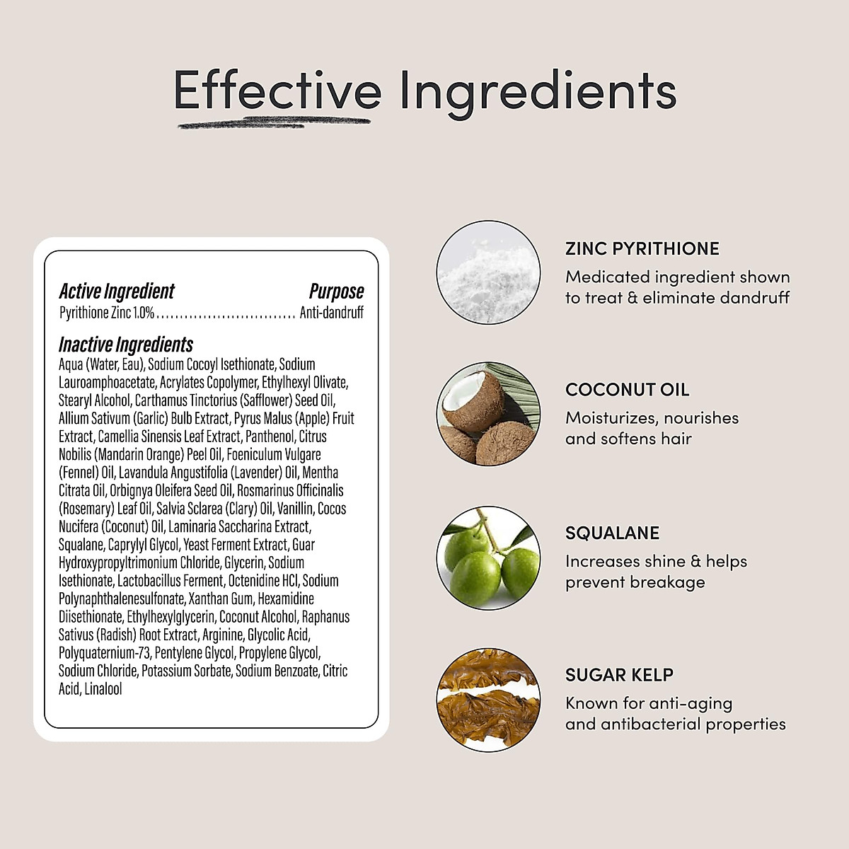 Jupiter Anti-Dandruff Shampoo, for Women & Men, Physician-Formulated for Flaky, Itchy, Oily, Dry Scalp, Vegan, Sulfate-Free, Color-Safe, & Paraben-Free, Anti-Dandruff Shampoo with Zinc, 9.5 fl oz