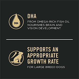 Purina Pro Plan Sensitive Skin and Stomach Large Breed Puppy Food Salmon and Rice Formula - 16 Lb. Bag