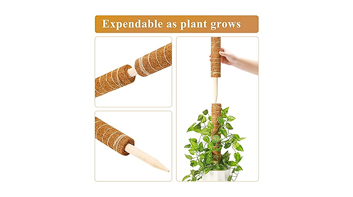 Mr Rabbi Coco Coir Moss Poles for Indoor Plants