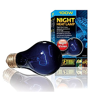Exo-Terra Night Heat Lamp, 100 Watt